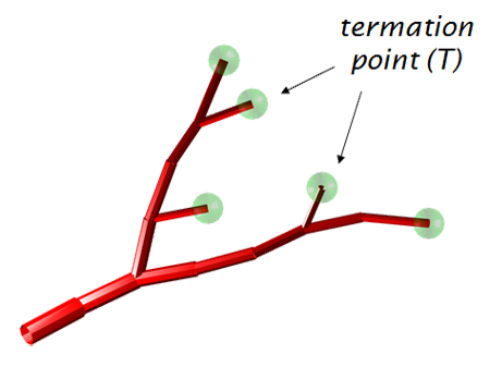Termination Points (Temporary) - Part 1