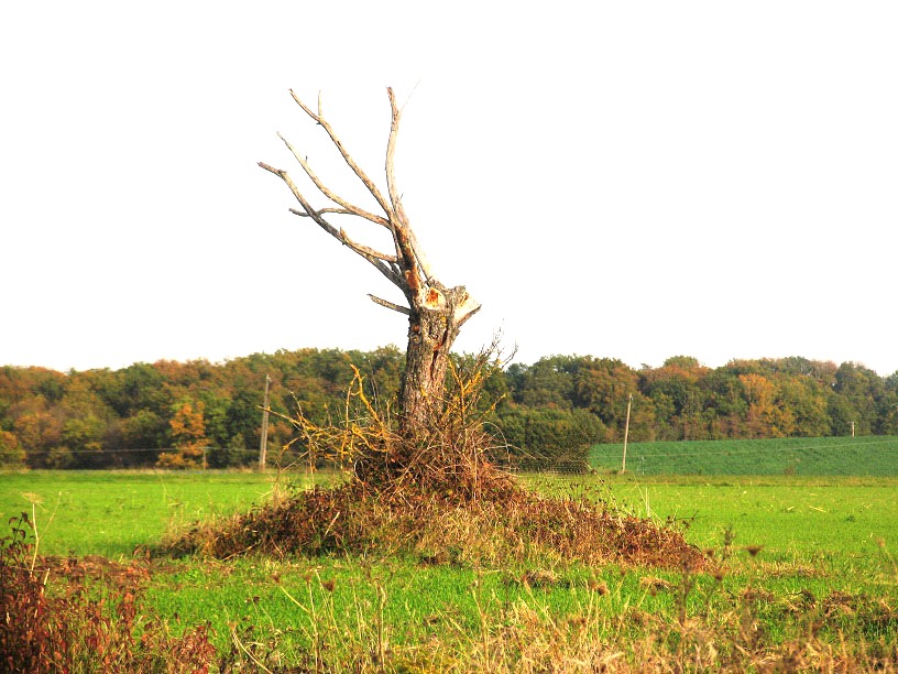 Loire Valley Experiences: Staggering!