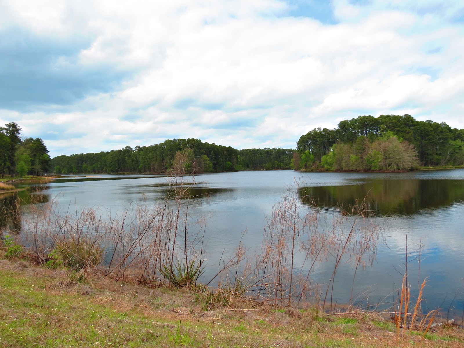 Adventures of a Vagabond Volunteer: A Visit to Ratcliff Lake Recreation ...