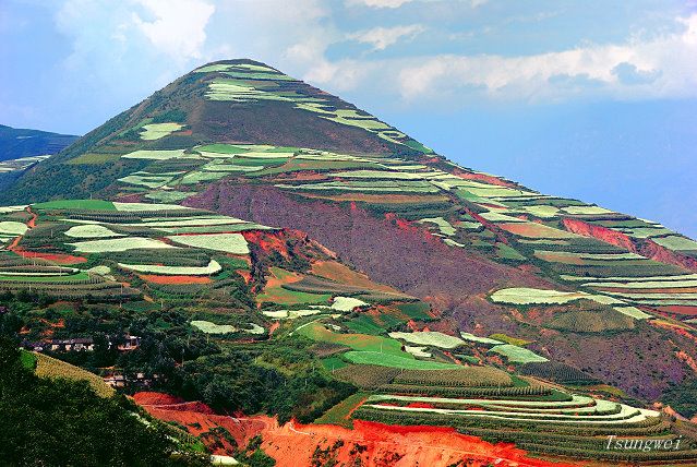 The Life: The Beautiful Fields Of China