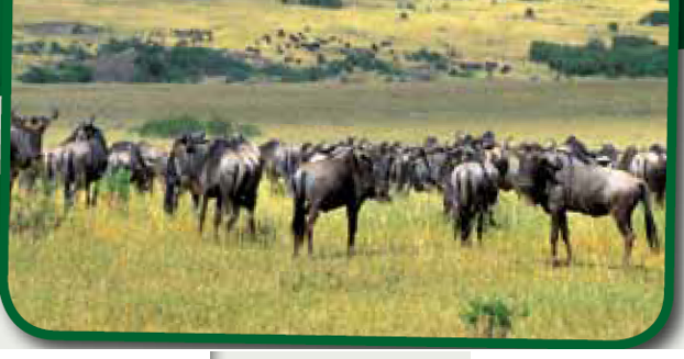 Beautiful Nature: Drylands Biodiversity