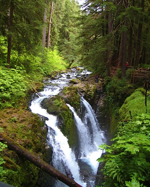 Pacific Northwest Seasons: Waterfall Hikes in the Pacific Northwest