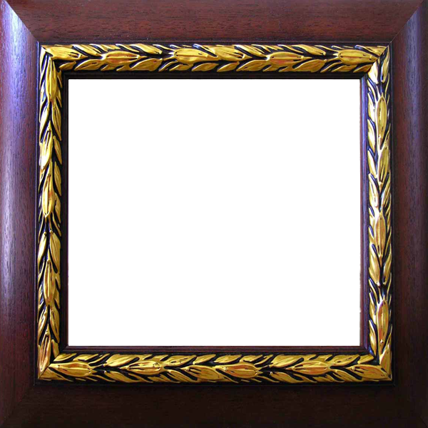 editor ~ CrAzY CoDeS