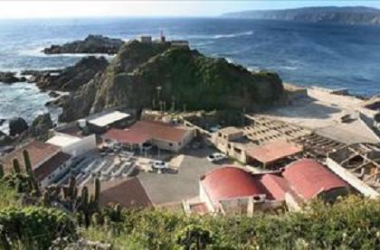 FILANAVAL: LA BALLENA ( INDUSTRIA BALLENERA EN CHILE )