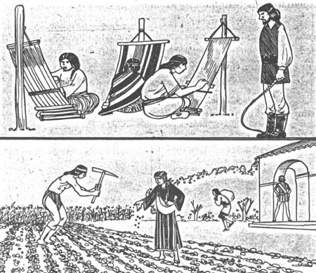 curso del profe ivan: diciembre 2011