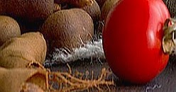 eatdrinkcooking: Tamatar ka Achar