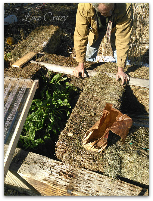 Lace Crazy: Hay Bale Cold Frames for the Garden...