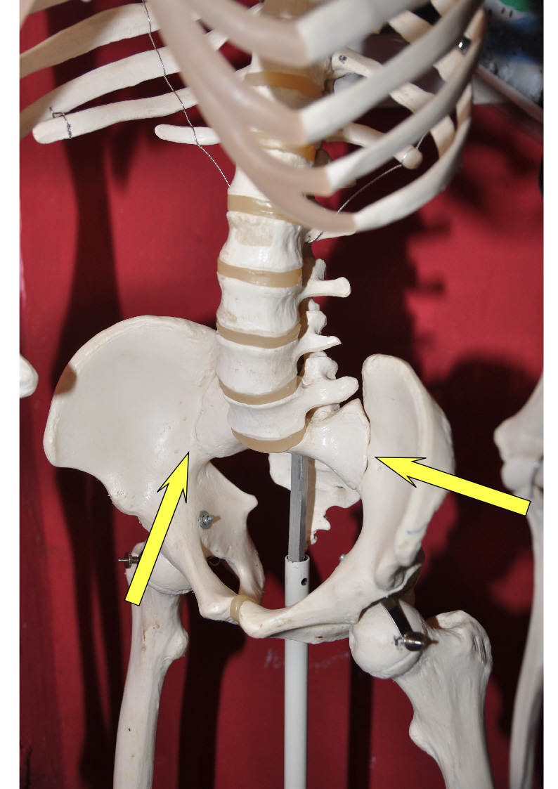PHYSIO-RIDING: Februar 2016
