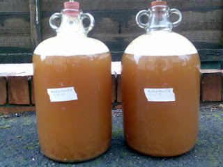 Ben's Adventures in Wine Making: Prune & Parsnip Wine 2017 - The Making ...