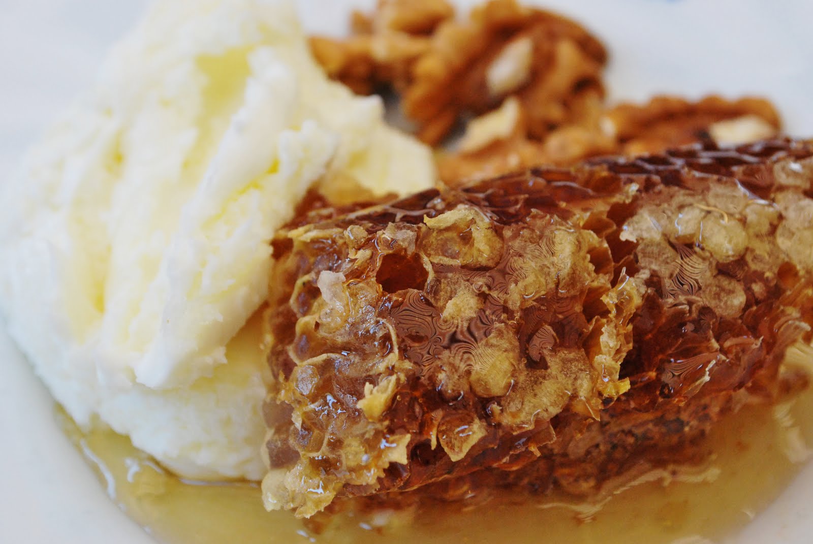 Red Panda Bakes: Red Panda's Favorites From Turkey