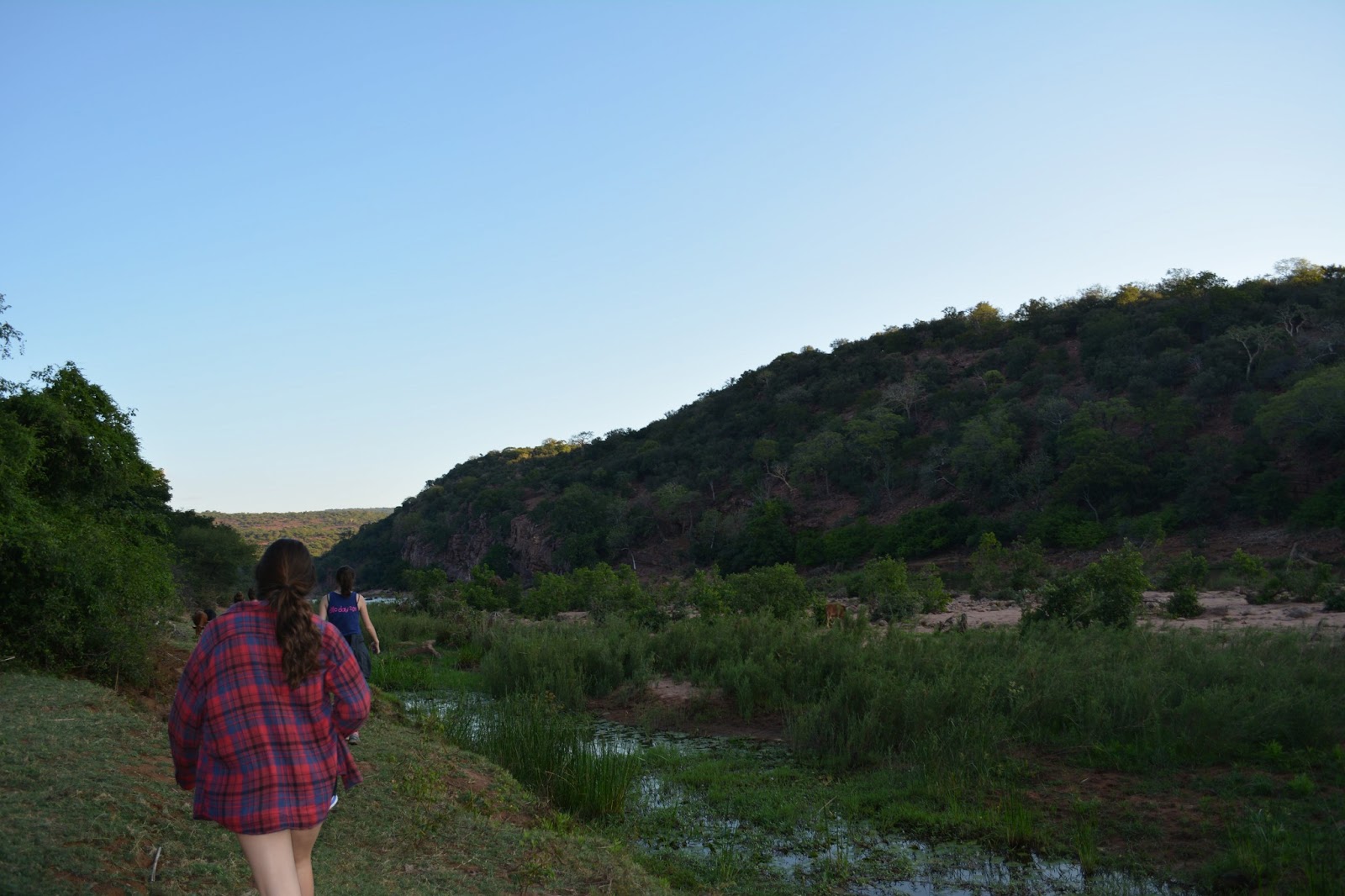 Do I Really Need That Rabies Shot...? : Kruger National Park--> Ha ...