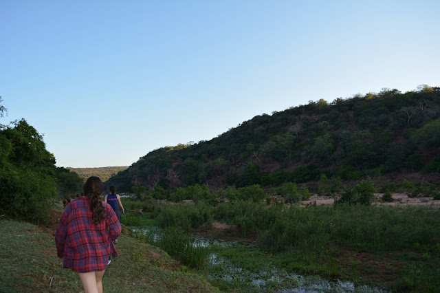 Do I Really Need That Rabies Shot...? : Kruger National Park--> Ha ...