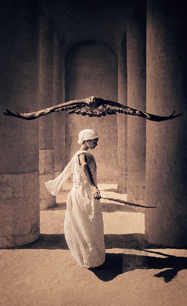 N o c h e d u m b r e