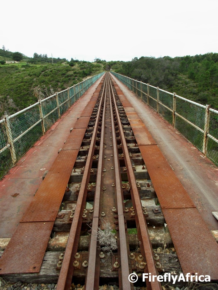 Port Elizabeth Daily Photo: Van Stadens railway bridge - the highest ...