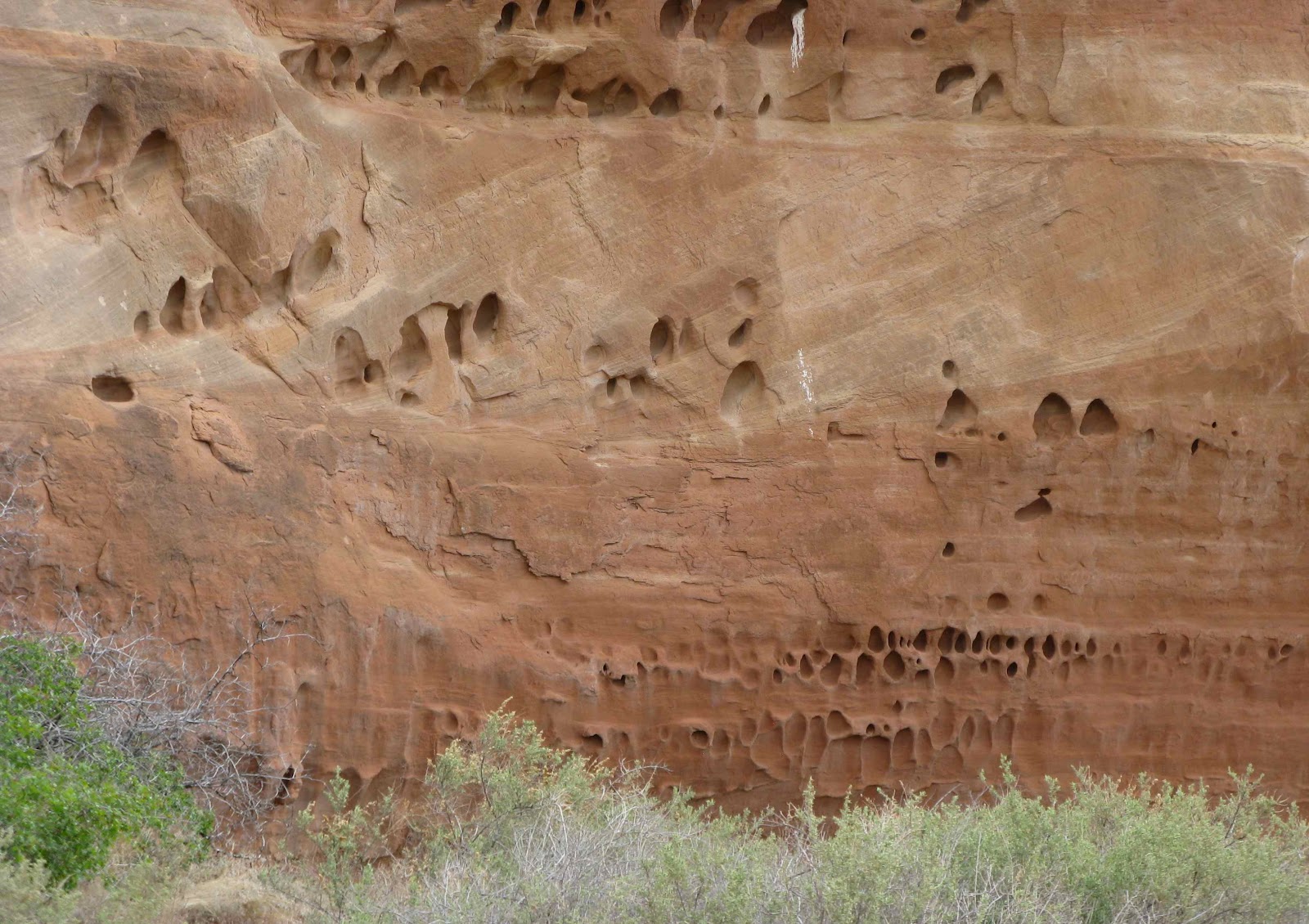 In the Company of Plants and Rocks: tafoni #1