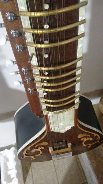 Raja Sitarmaker Brasil: Travel Sitar made by Raja Sitarmaker Brasil
