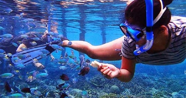 Snorkelling Spot in Indonesia that must be Visited Indonesia Tourism ...