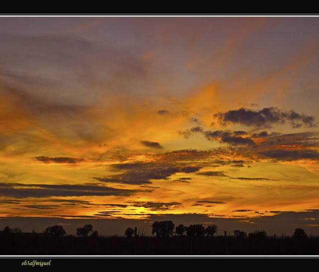 Miguel fotografia: Color del Atardecer