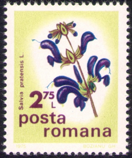 Timbre filatelice: Timbre filatelice cu flori de camp