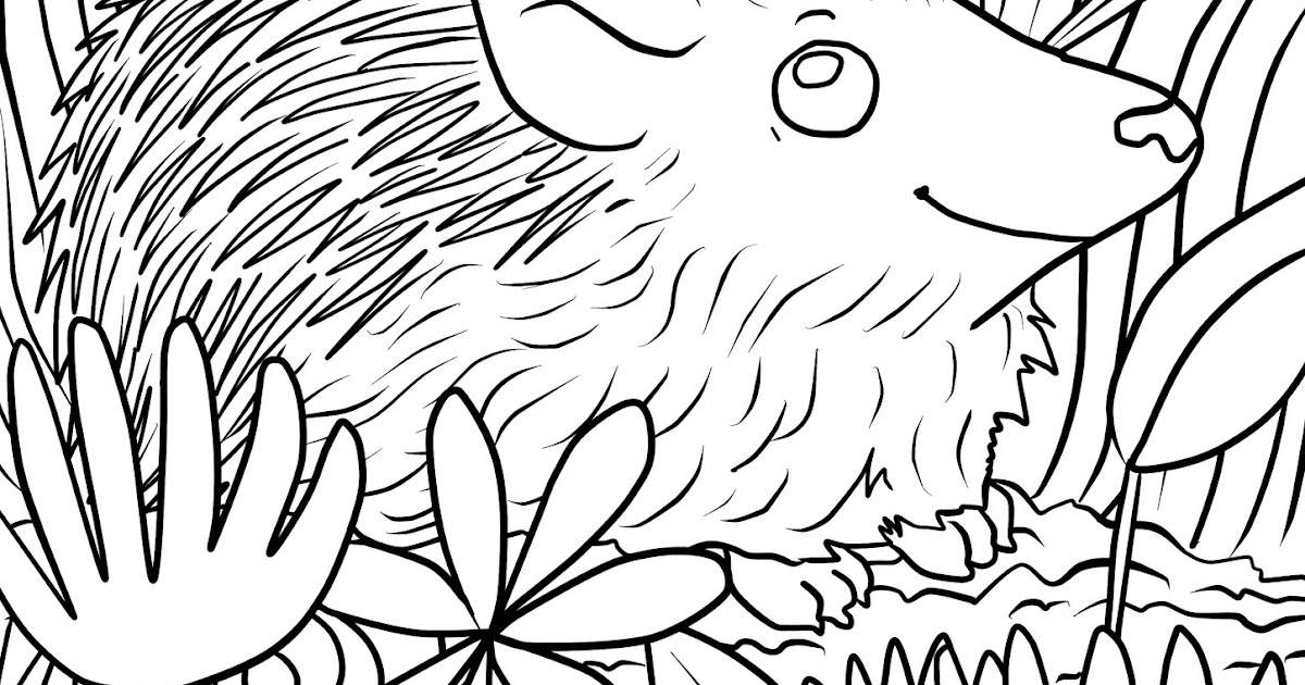 25 Prickly (Inktober 2018, a coloring page) / 25 Piikikäs (Inktober ...