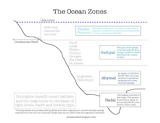 Homeschooling with a Classical Twist: Ocean Zones {Printable}