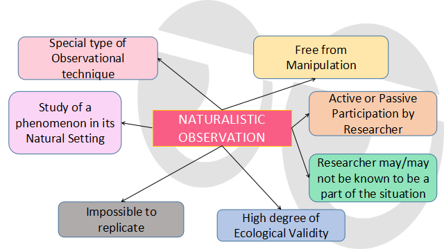 IB Psychology Qualitative Research Part III Naturalistic Observation ib-psychology-qualitative-research-part-iii-naturalistic-observation