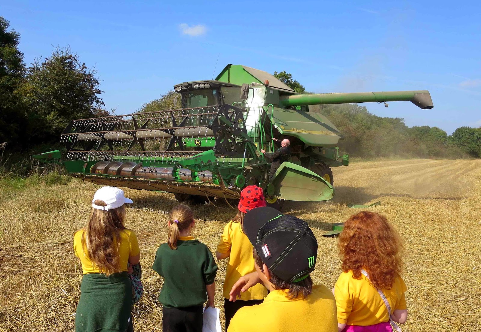Scalford: How does a combine harvester work?