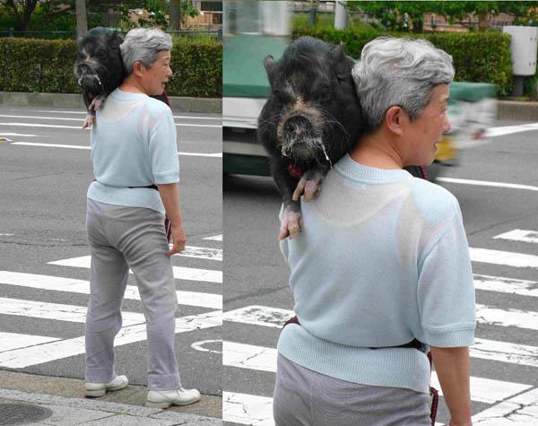 What does a normal day in Japan look like? ~ Turning Japanese