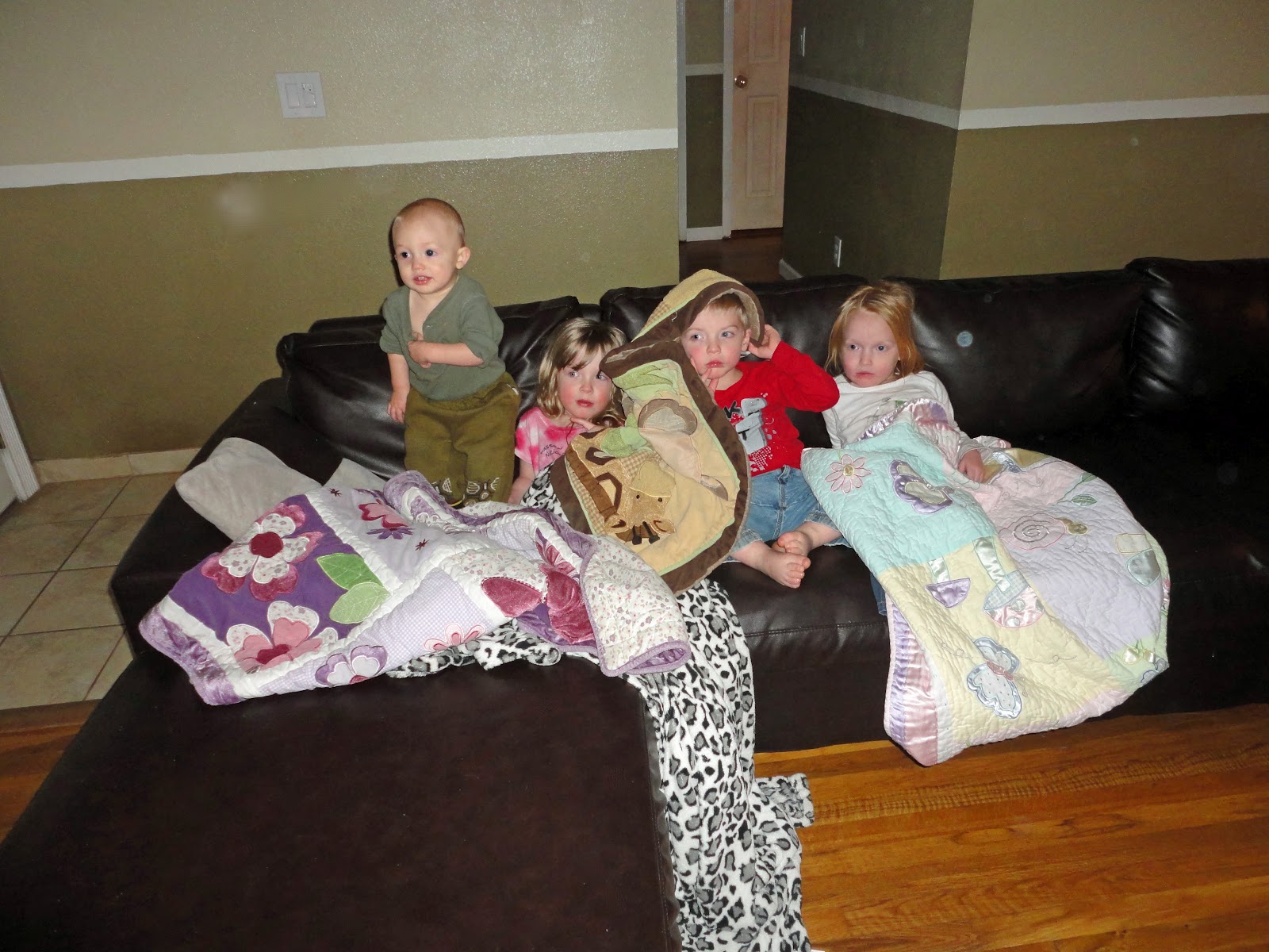 Pleasant Dreams Farm: Yay for books!*