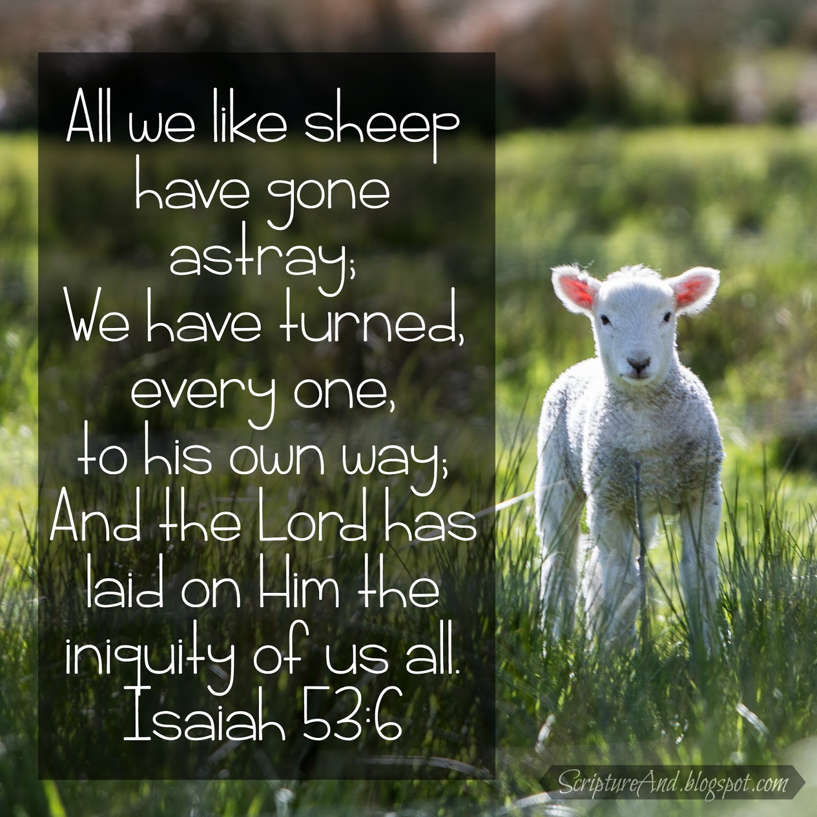 Gospel Bible Verses to Share