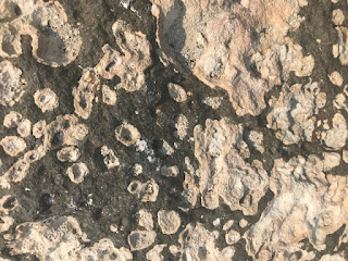 Artful Life By Cathy: A Visit to Spiral Jetty - A Magical Place