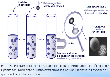 Técnicas Inmunológicas: Métodos en Inmunología