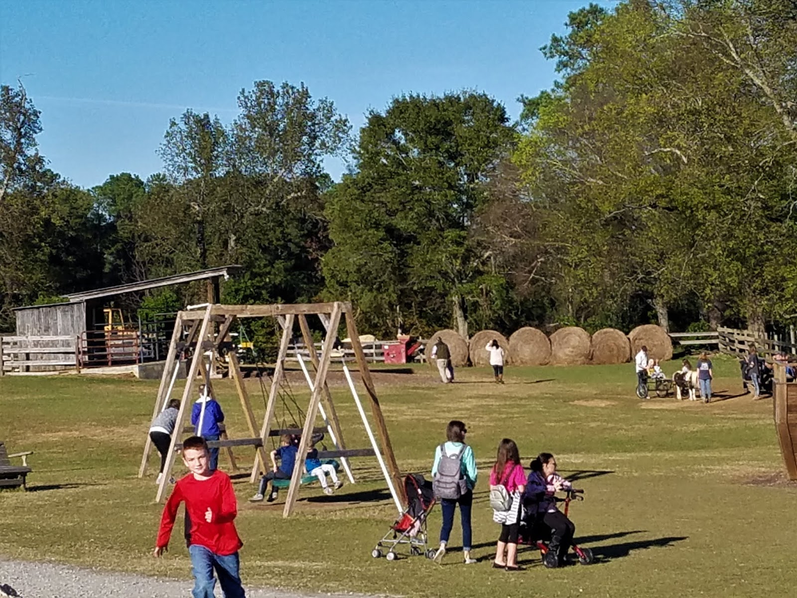 Another Mile Another Destination Blog: Steed’s Dairy Farm and The Corn ...