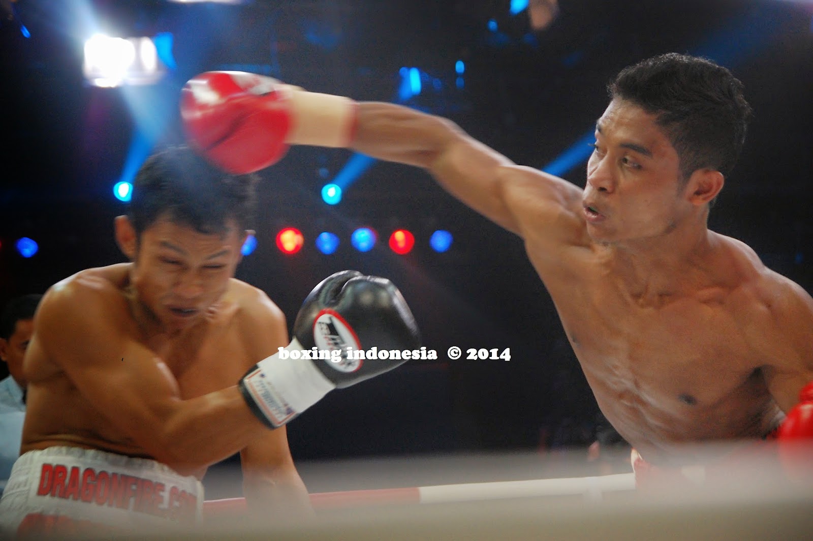 Boxing Indonesia: who's next? Boxing is Tinju in Indonesian.