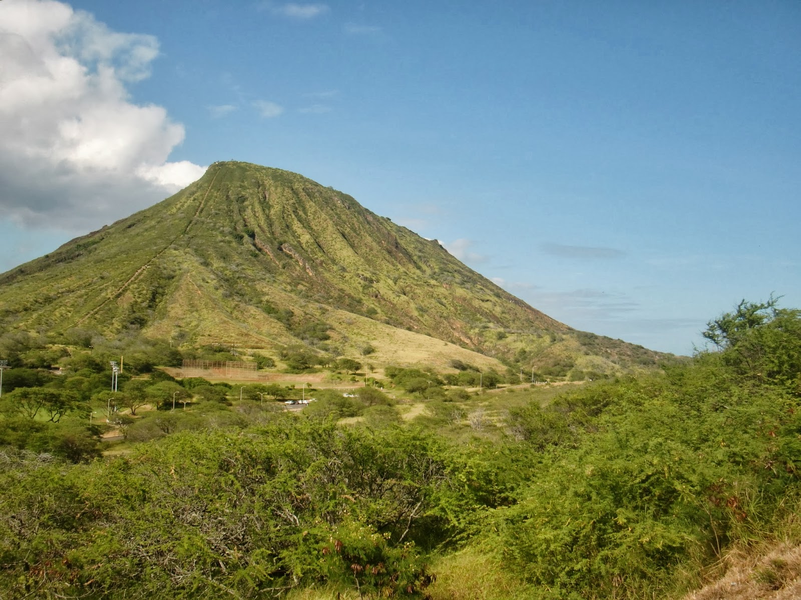 Family Travel Blog : You know you are settling into Hawaii when......