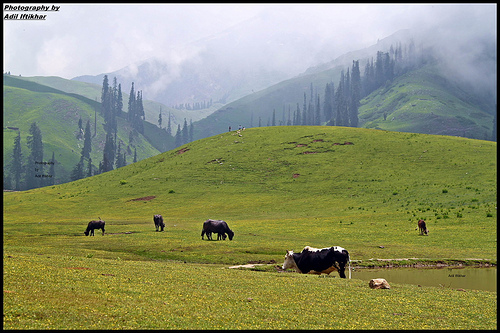 arang kel valley,pakistan ~ travell and culture