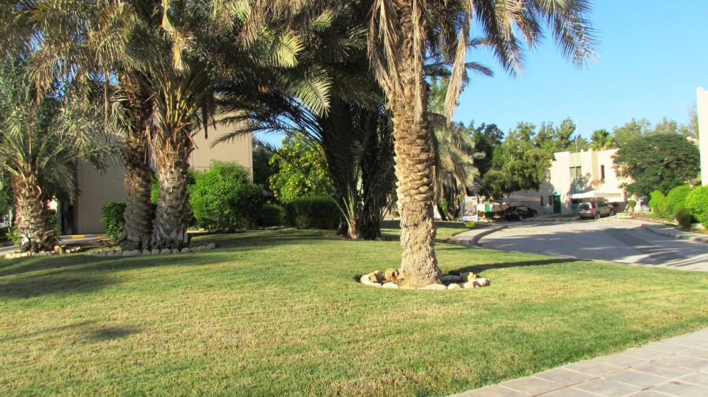 Birding for a Lark: Fal residential compound, Riyadh