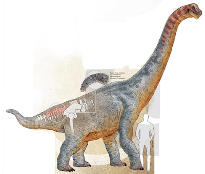 Paleontología en Colombia: 09/01/2018 - 10/01/2018