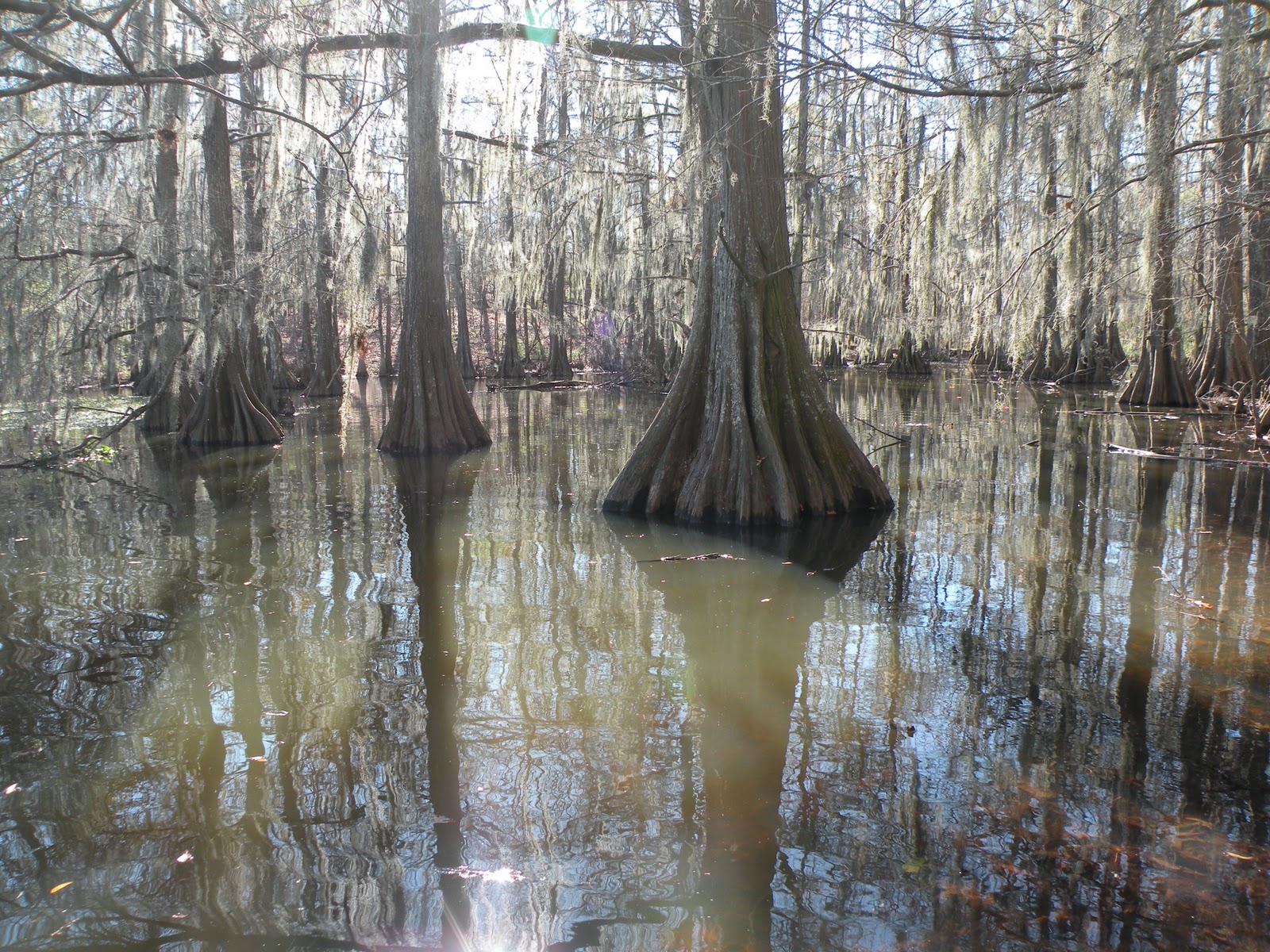 Mary's Louisiana Garden: Chicot State Park