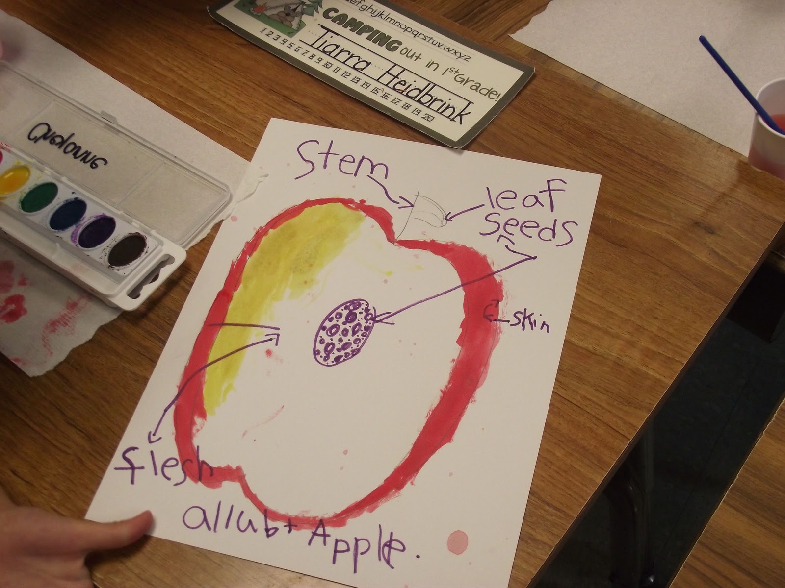 First Grade O.W.L.s: Take a look at these cuties!