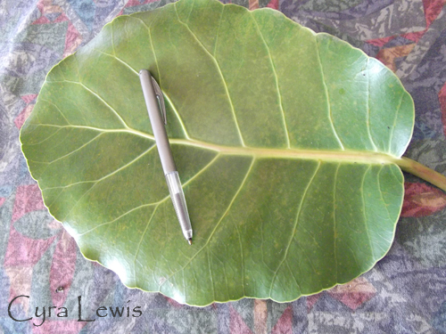 Zen Art Doodles: Zendoodles On A Leaf