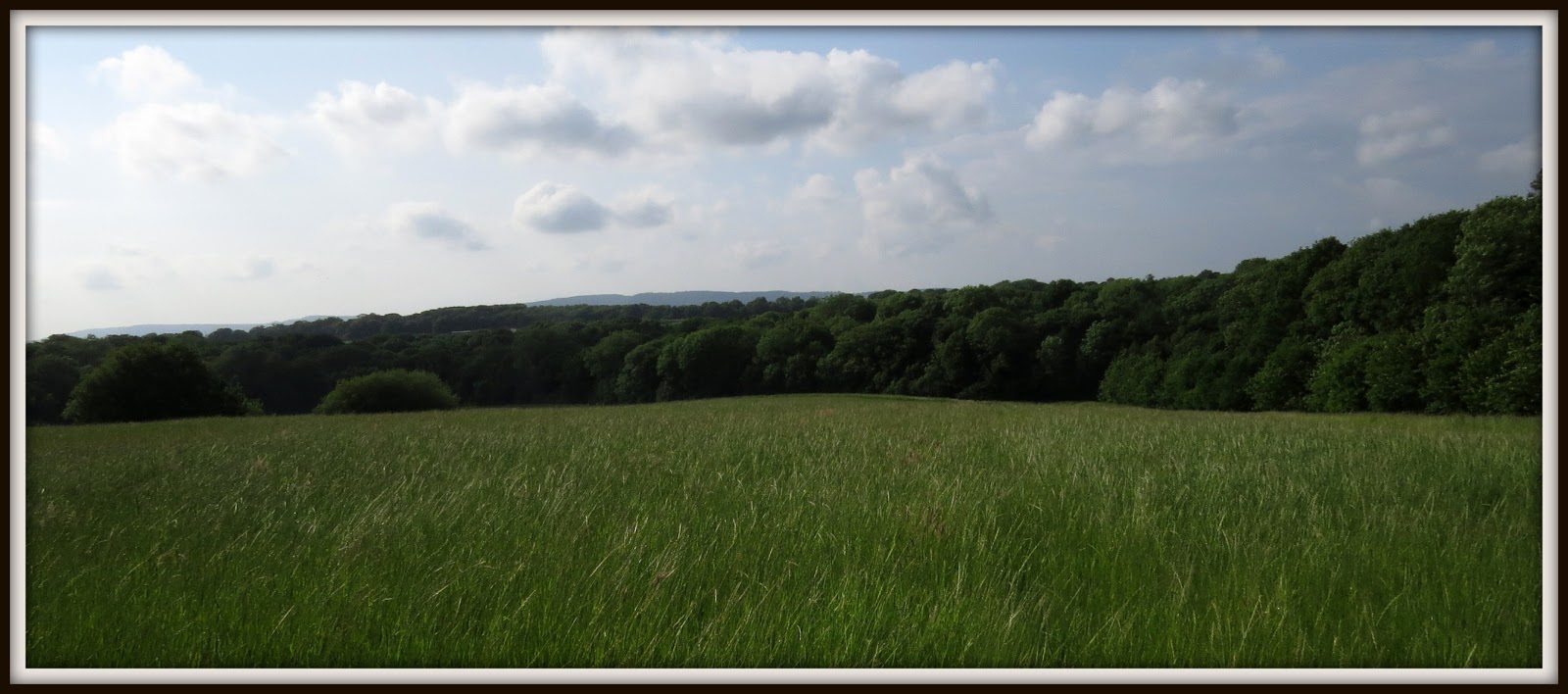 Grandma P's Ramblings Through Life: Walk from Rusper village. Sussex.
