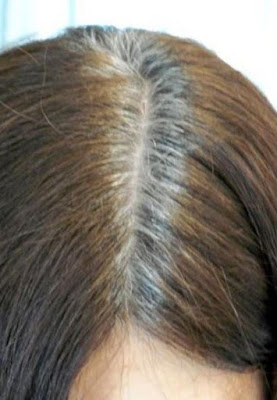 HOW Is YOUR Hair Color Formula & A Review of Gray Hair Coverage ...