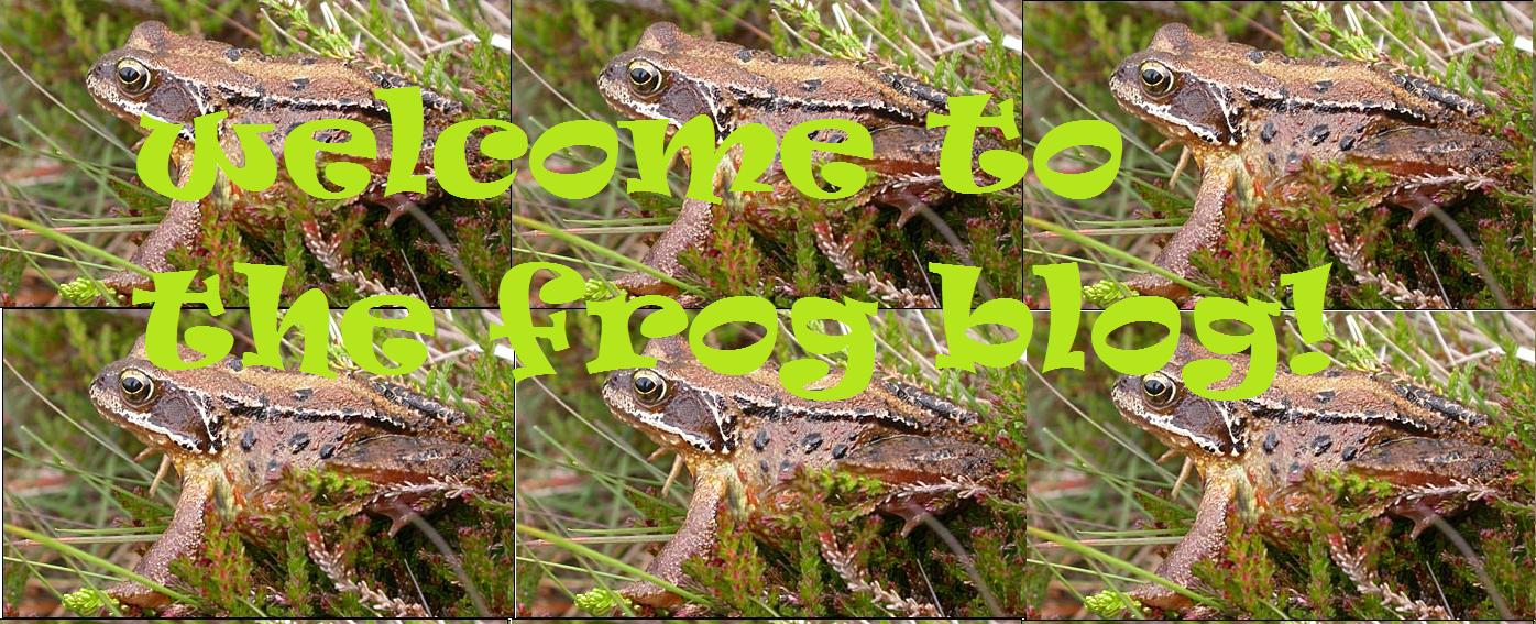 The Frog blog: Progress!