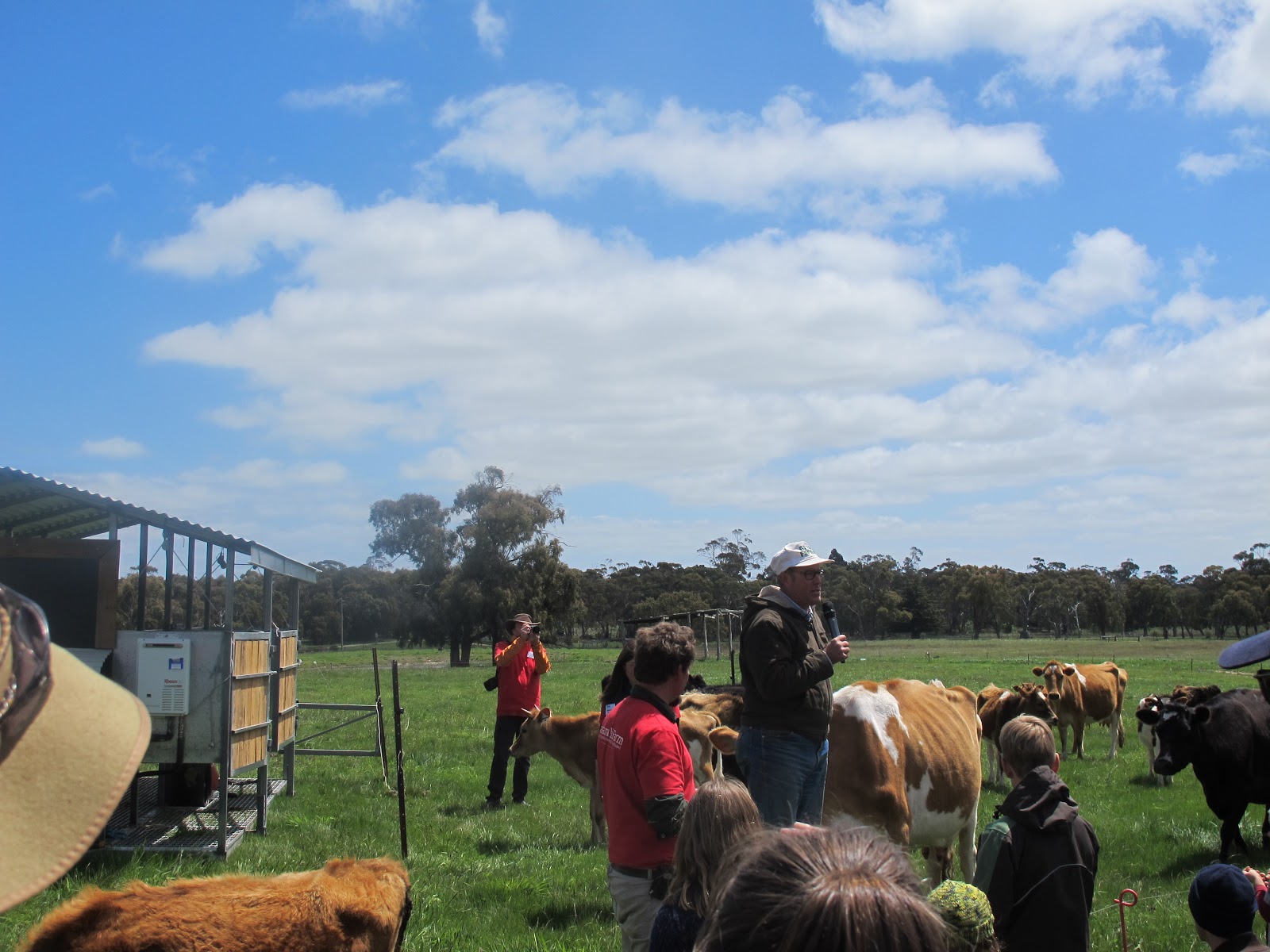 eureka feasts: Taranaki Farm Tour with Joel Salatin