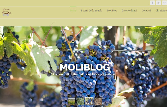 MoliSeb Wine & Food Blog