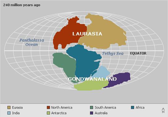 Perkembangan Benua di Bumi (Teori Wegener) - Biologizone