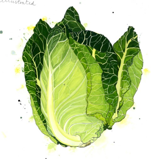 Watercolour Painting: Emma Dibben