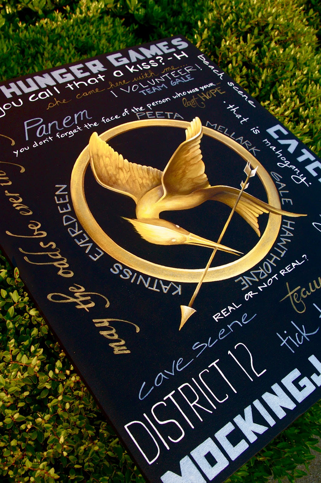 the rustic canvas: Hunger Games Collage