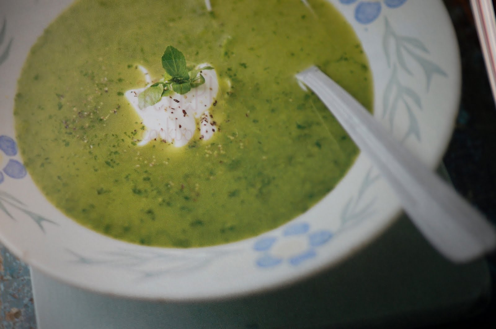 Sally Bee - THE RECIPE FOR LIFE